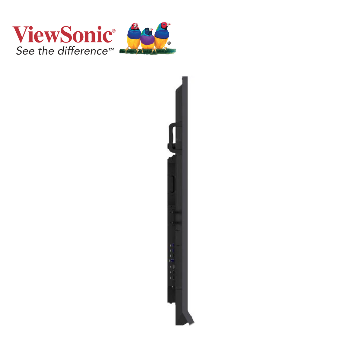 ViewSonic 75"/86" 4K Interactive Display – ACE x AV.SG