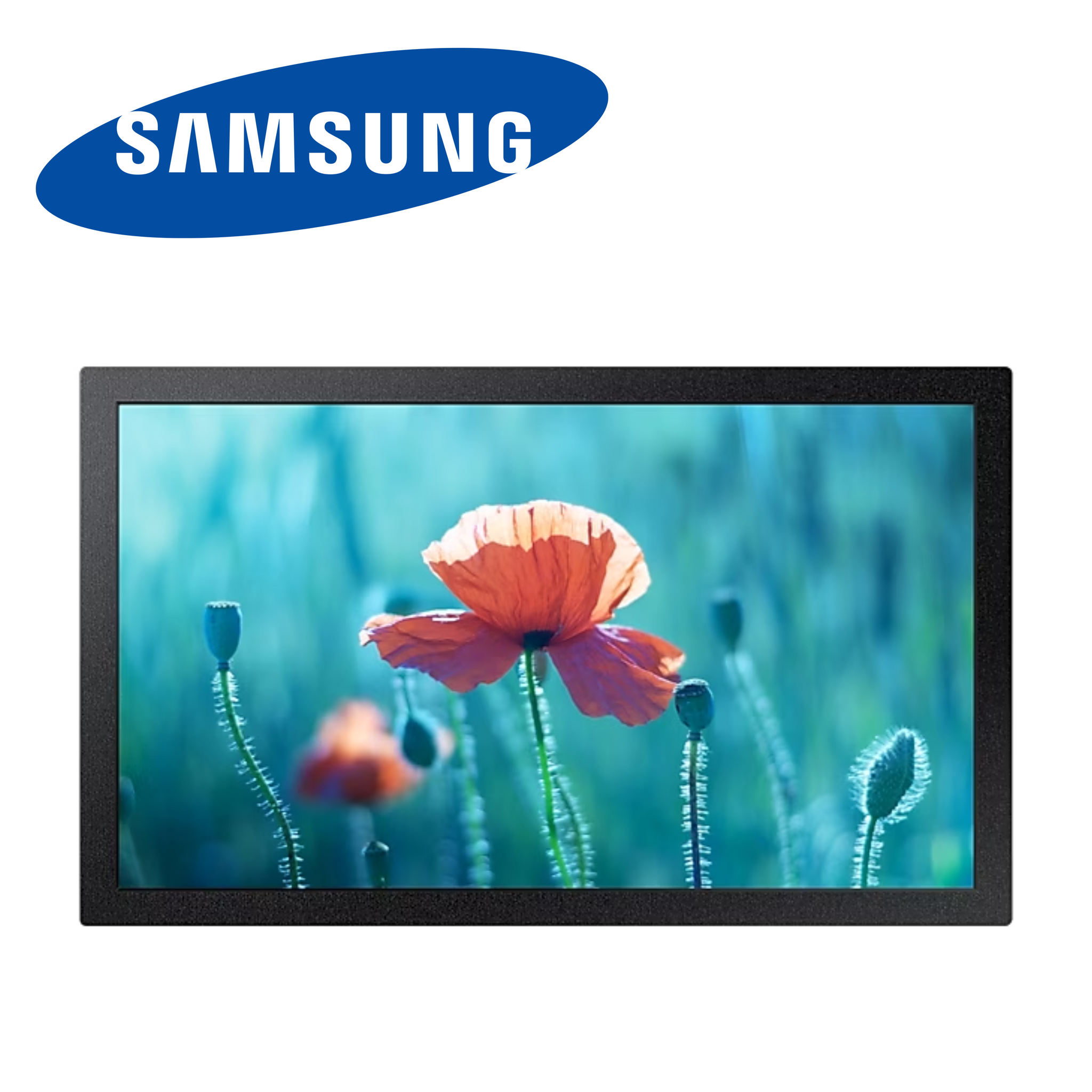 Samsung 13" Full HD Small Display QBR-M – ACE x AV.SG
