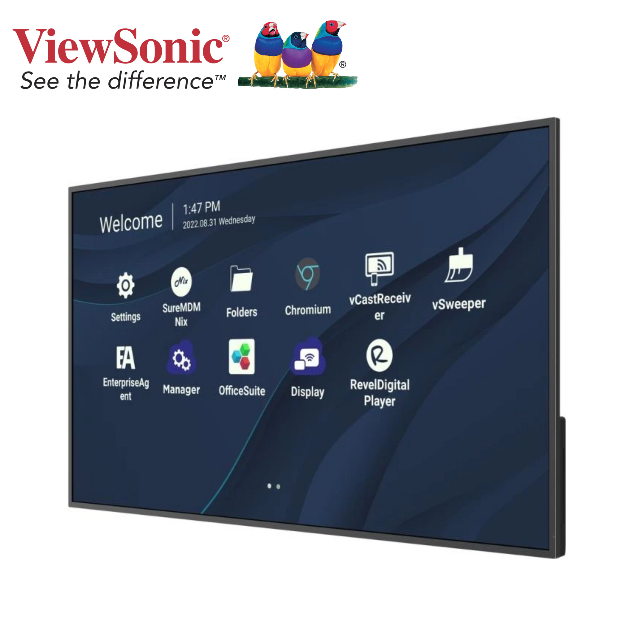 ViewSonic CDE30 Series 4K Presentation Display – ACE x AV.SG