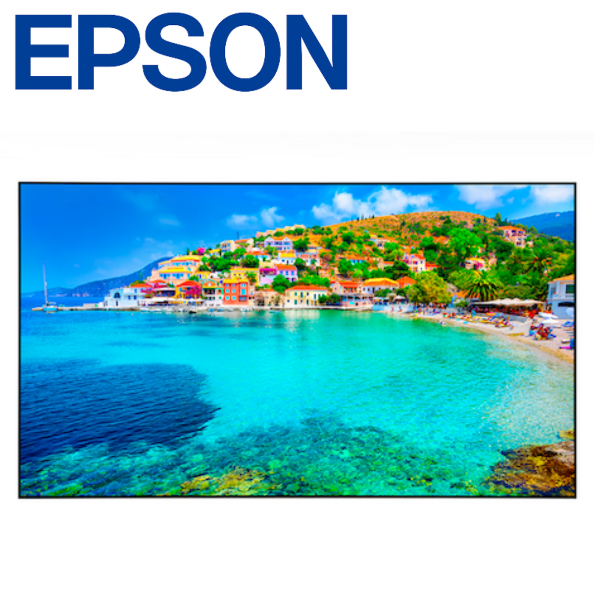 Epson ELPSC36 120" Projector Screen – ACE x AV.SG